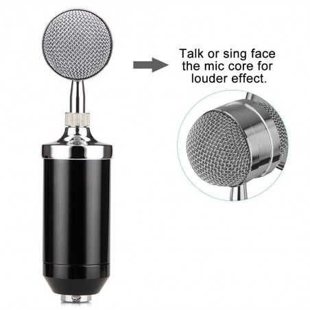 Professional Condenser Mic